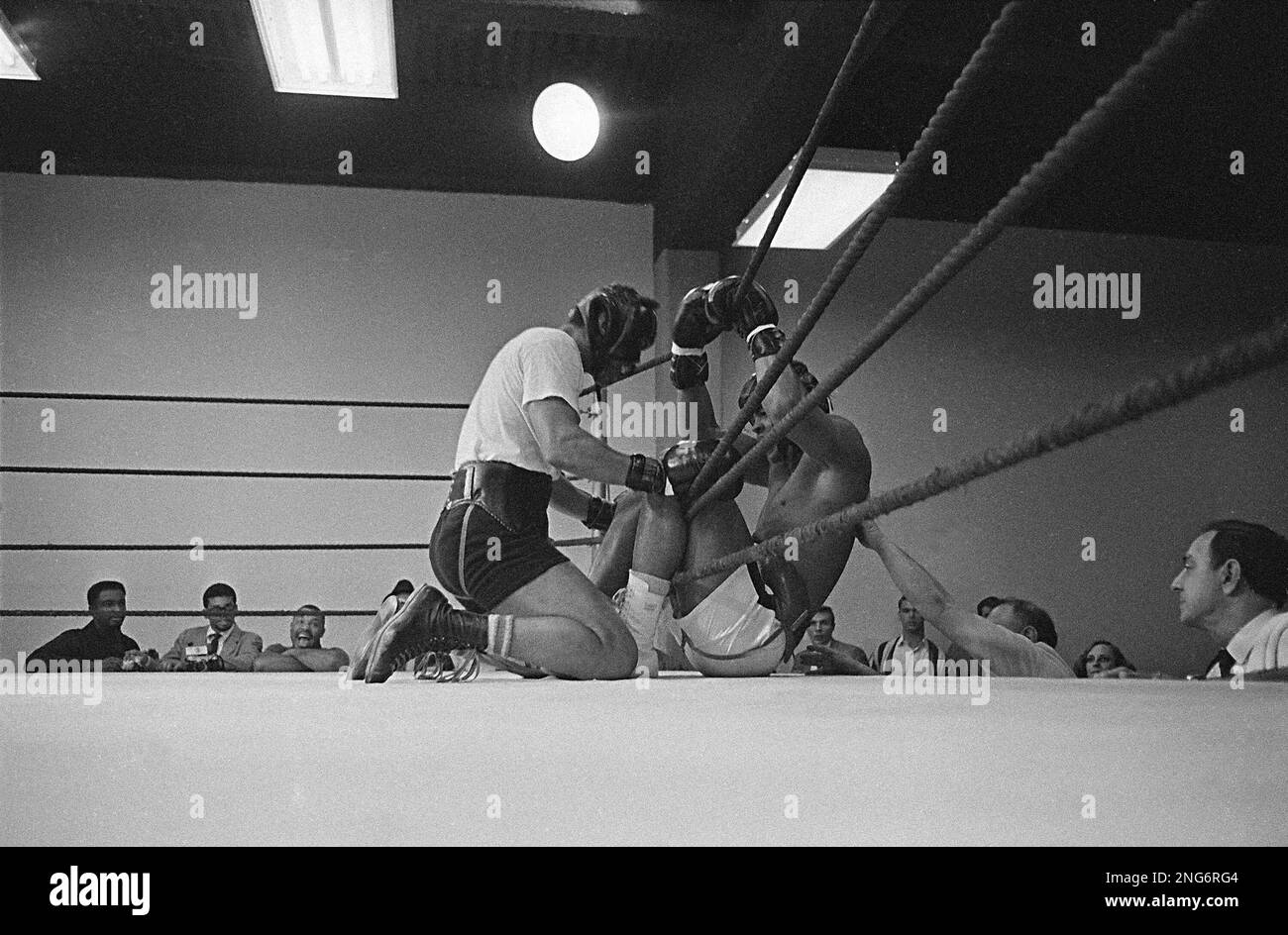 Muhammad Ali falls through the ropes while working out with sparring ...