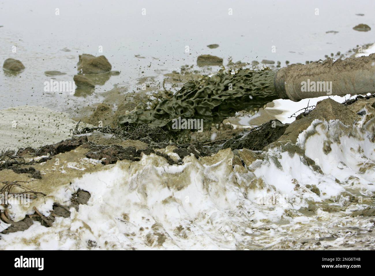 Cow manure is pumped into a lagoon next to the ethanol plant in Mead ...