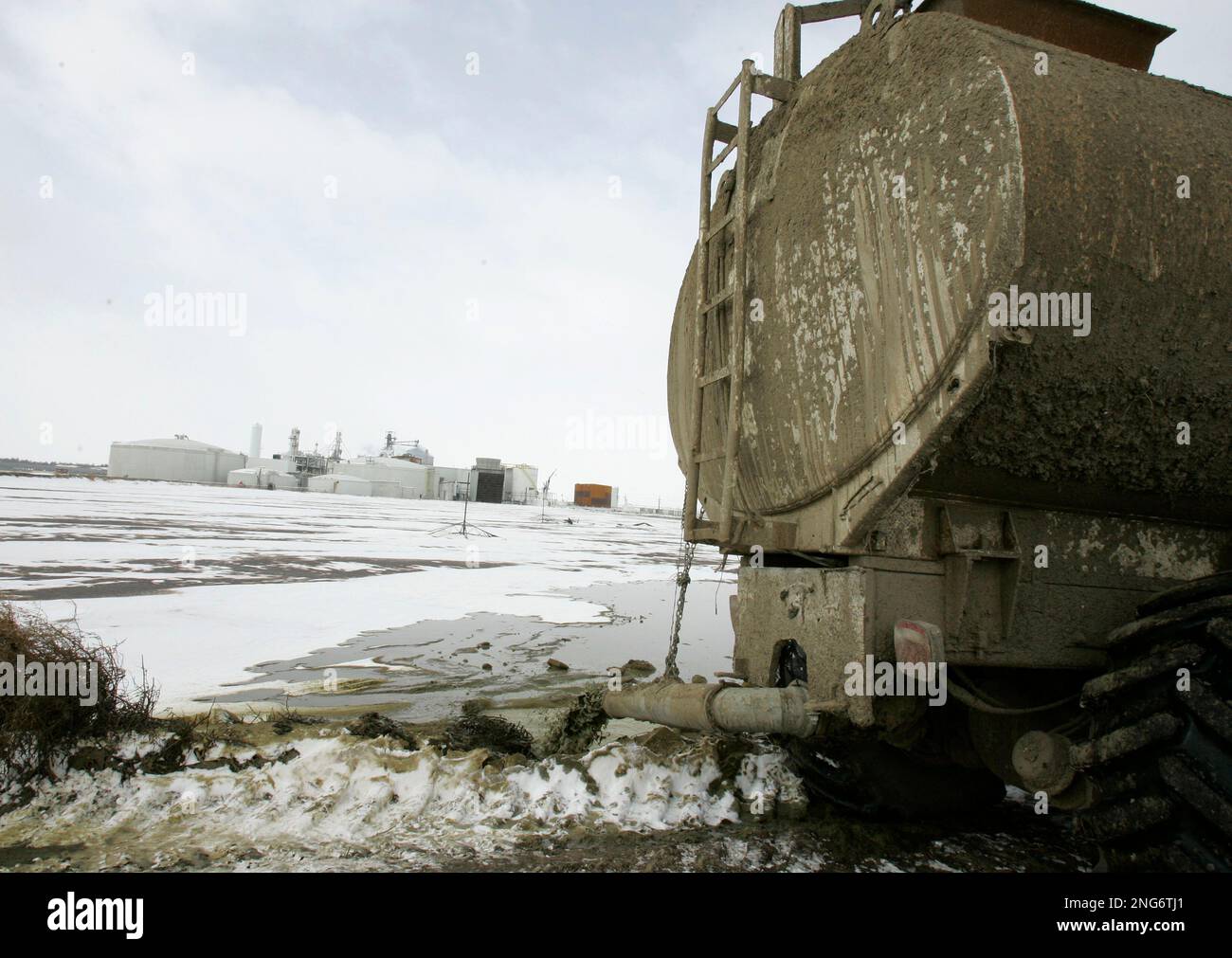 Cow manure is pumped into a lagoon next to the ethanol plant in Mead ...