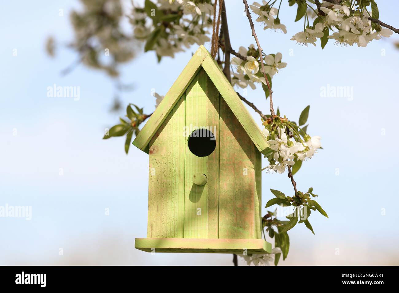 Green wooden bird house hanging from tree branch outdoors Stock Photo ...