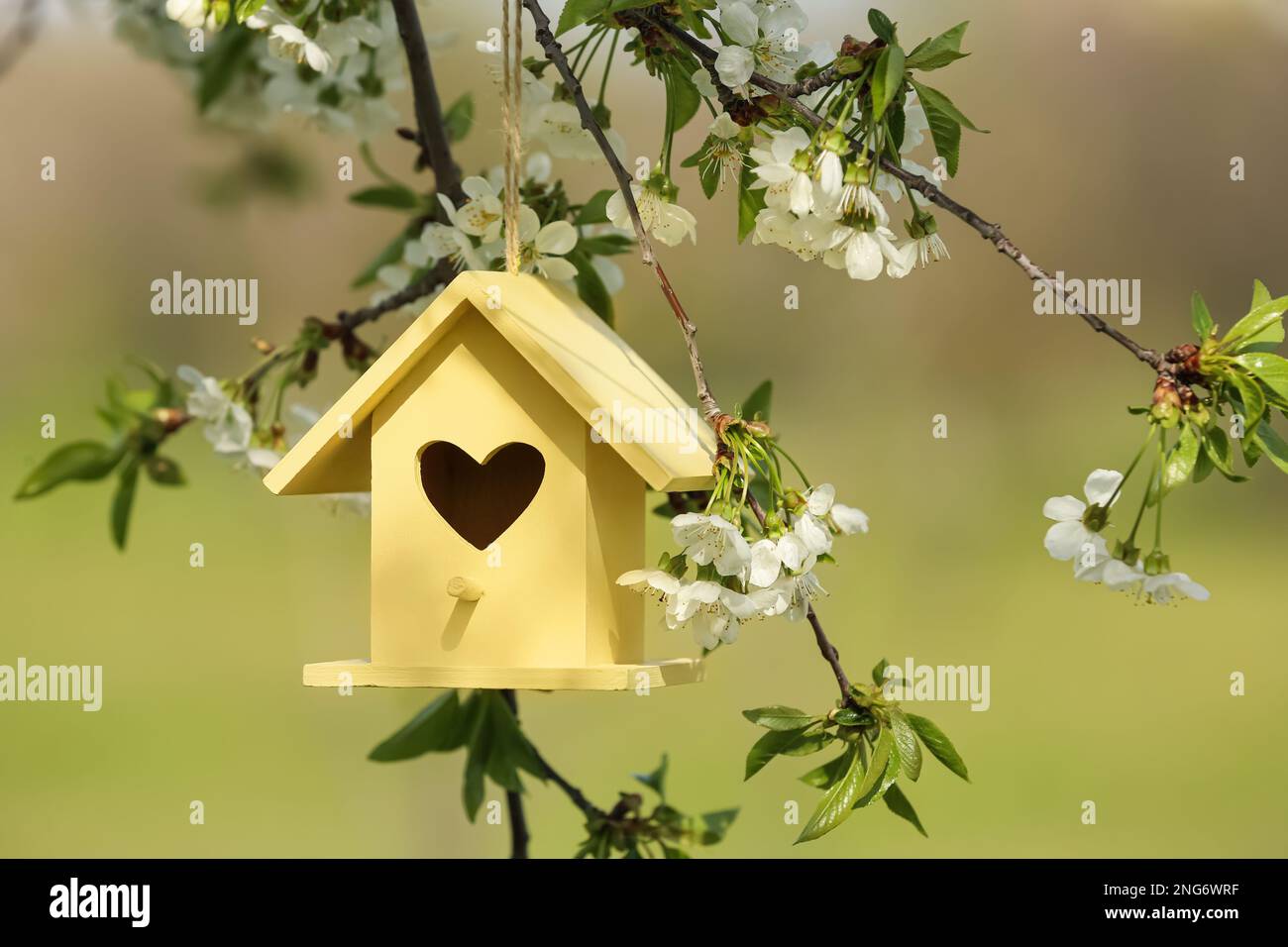 Yellow bird house with heart shaped hole hanging from tree branch ...