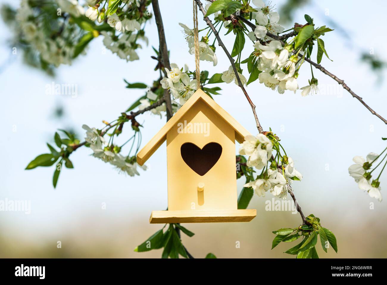 Yellow bird house with heart shaped hole hanging from tree branch ...