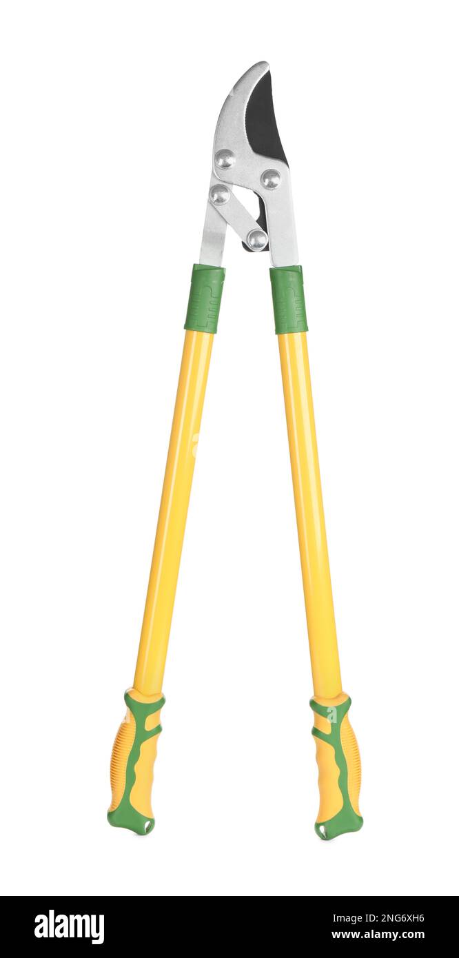 Gardening loppers hi-res stock photography and images - Alamy