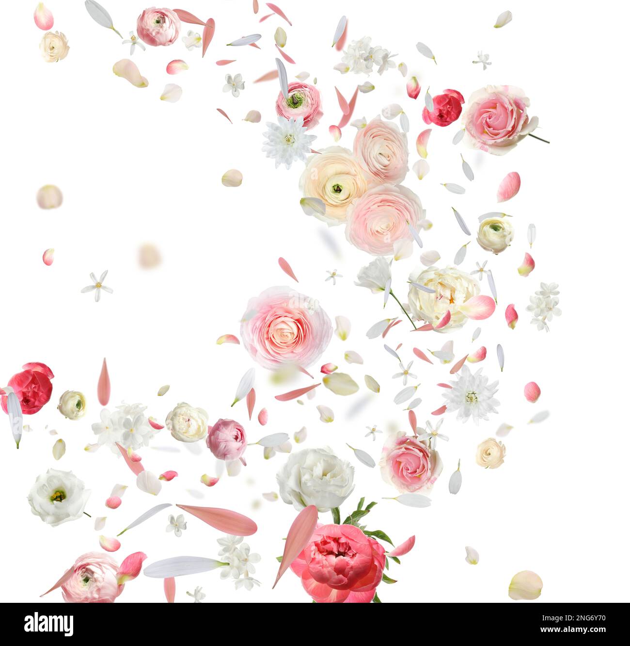Beautiful flowers and petals flying on white background Stock Photo - Alamy
