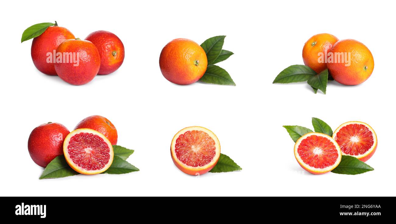 Set with ripe red oranges on white background. Banner design Stock ...
