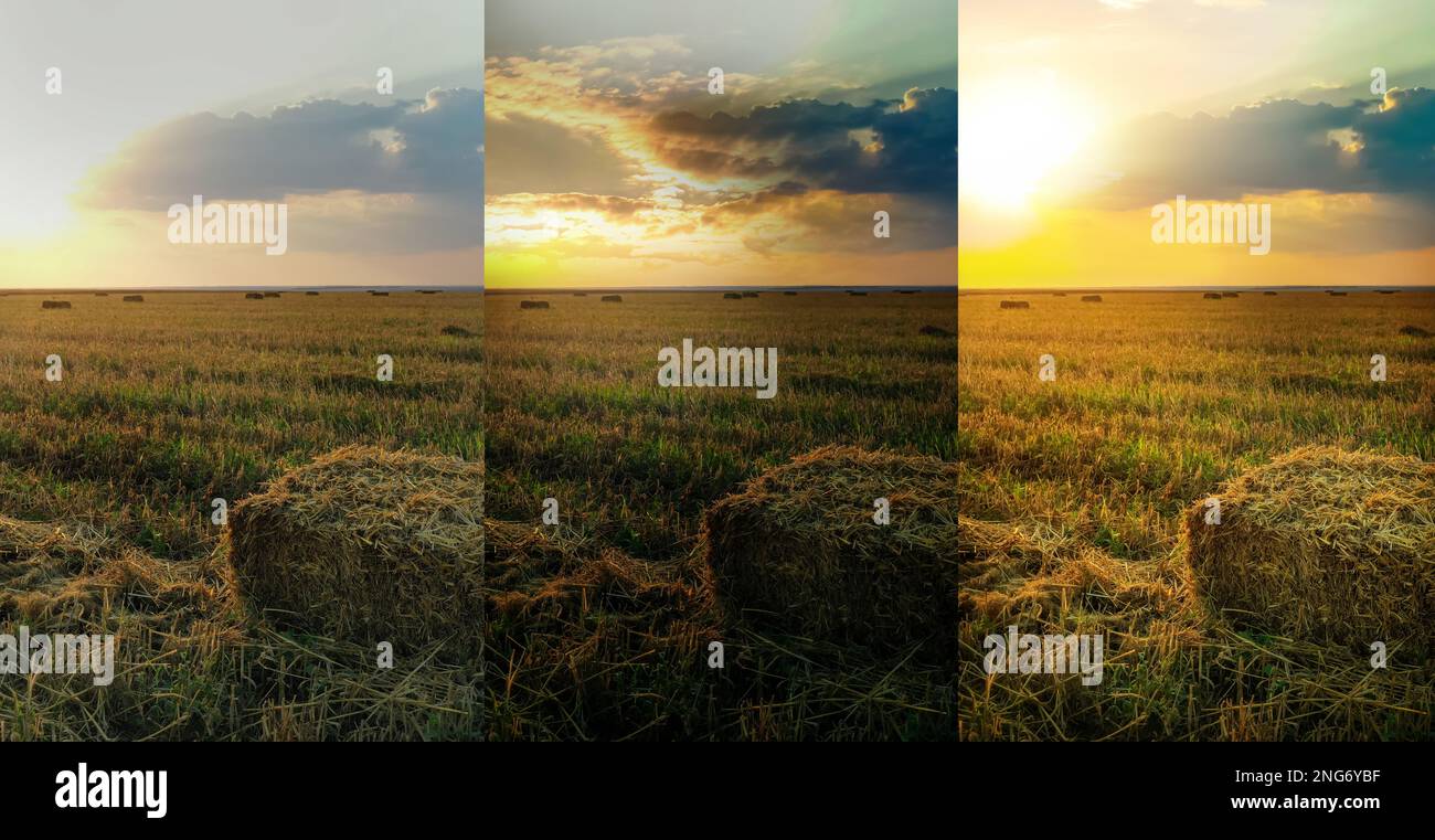 Photos before and after retouch, collage. Hay block on mowed field ...