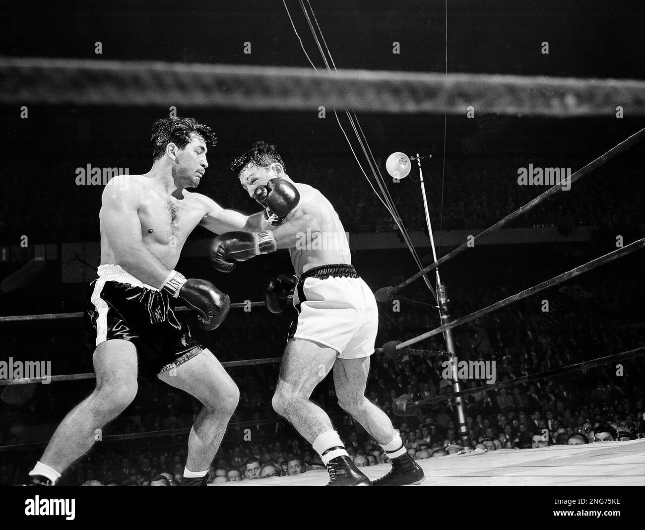 Tony DeMarco of Boston grazes the chin of Carmen Basilio who clinches ...
