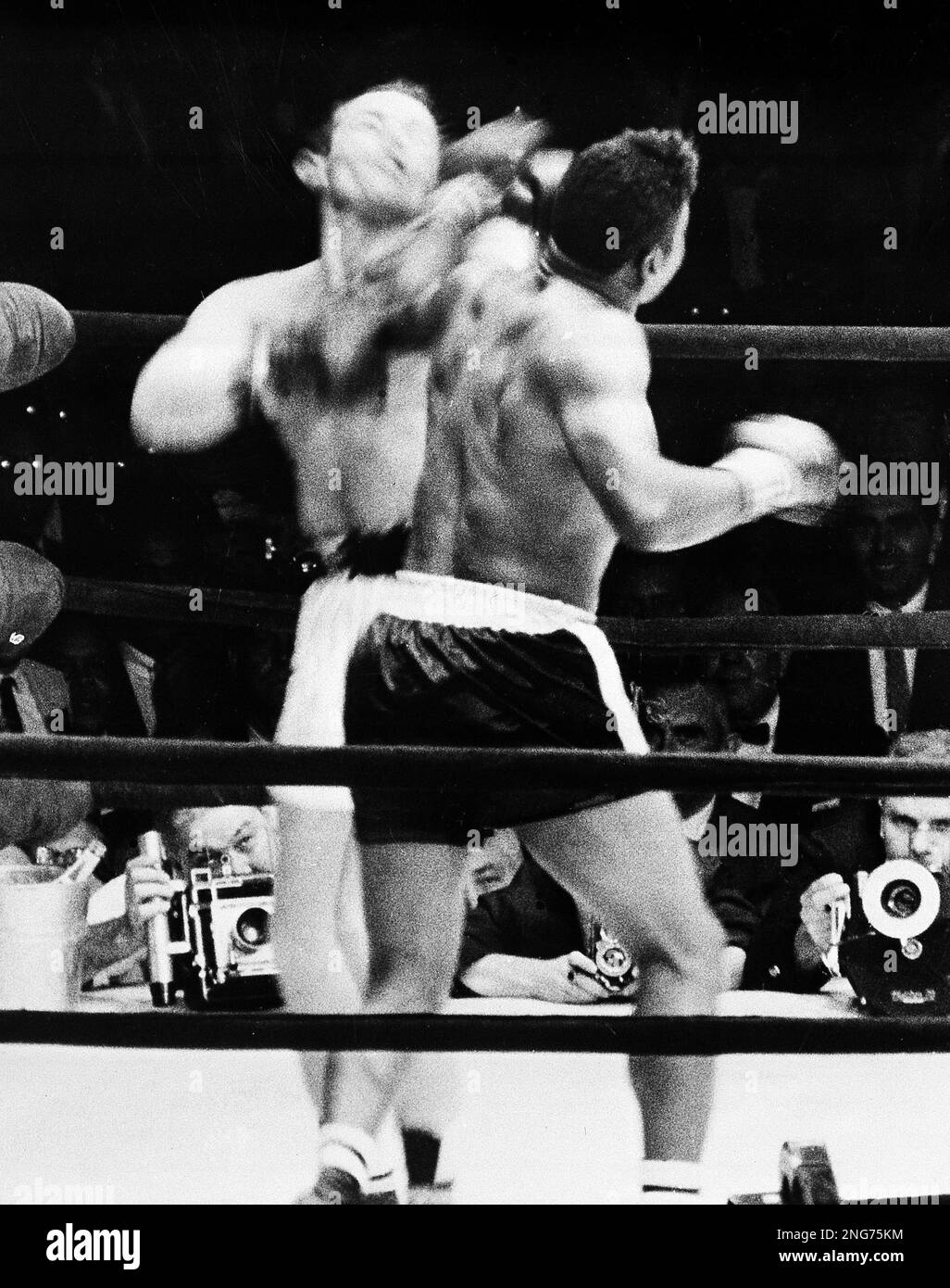 This is blowup from 35 millimeter official film on the Patterson ...