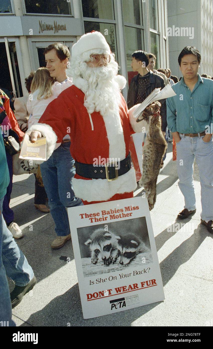 Animal - rights activist Franklin Hirsch, dressed as Santa Claus ...