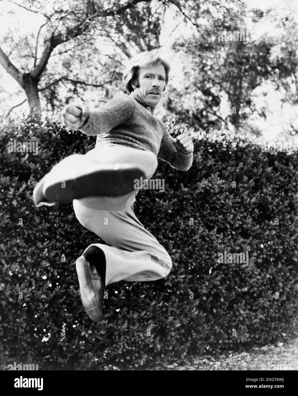 Actor Chuck Norris is shown in this file photo dated 1977. (AP Photo ...