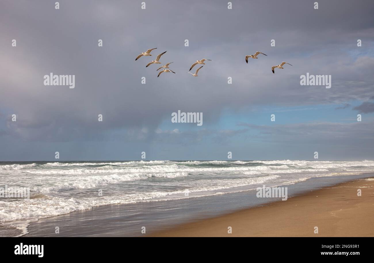 Horsfall oregon hi-res stock photography and images - Alamy