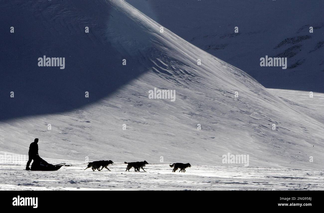 Leader of the Conservative Party David Cameron driving a Dog-sled on ...