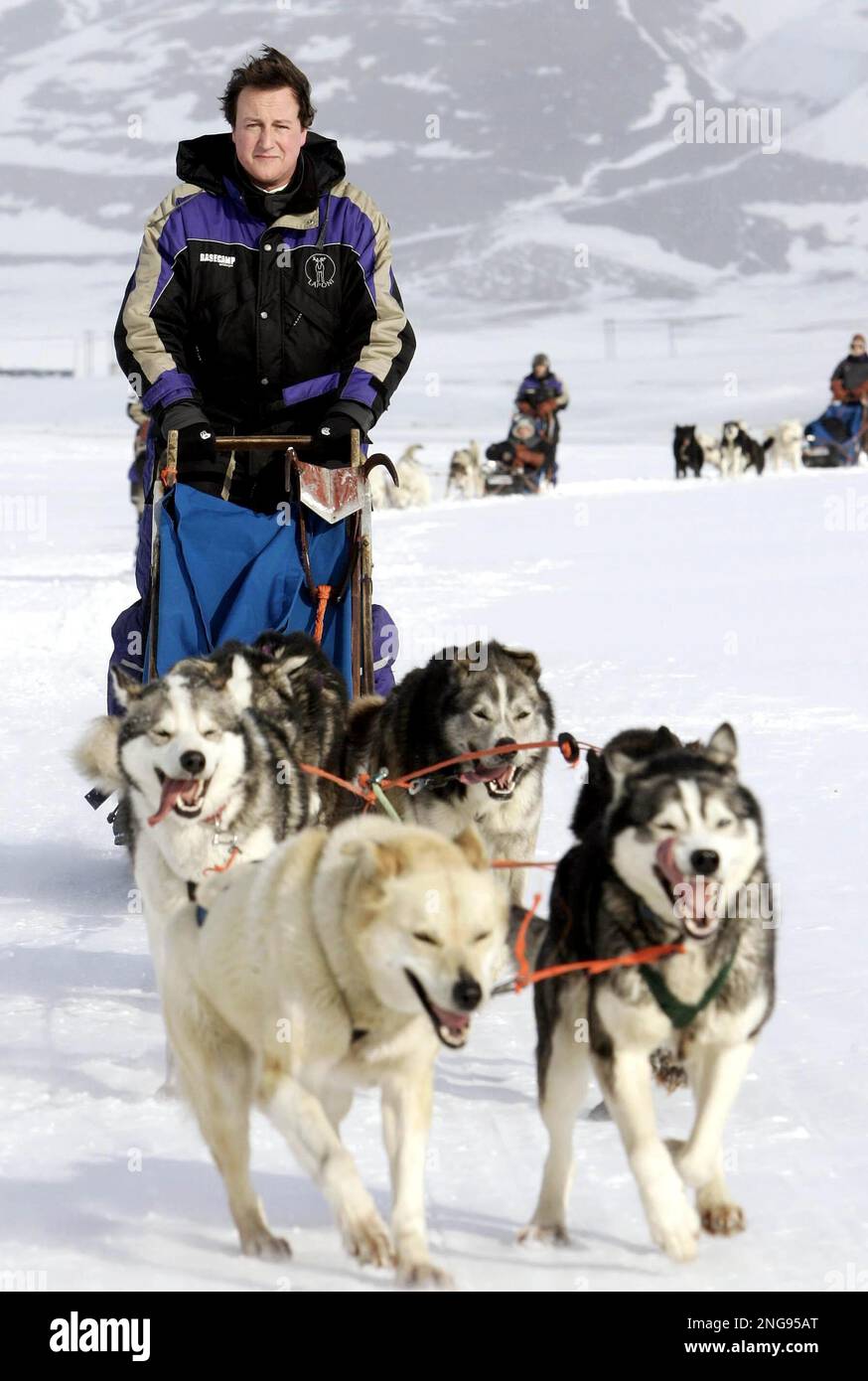 Leader of the Conservative Party David Cameron driving a Dog-sled on ...
