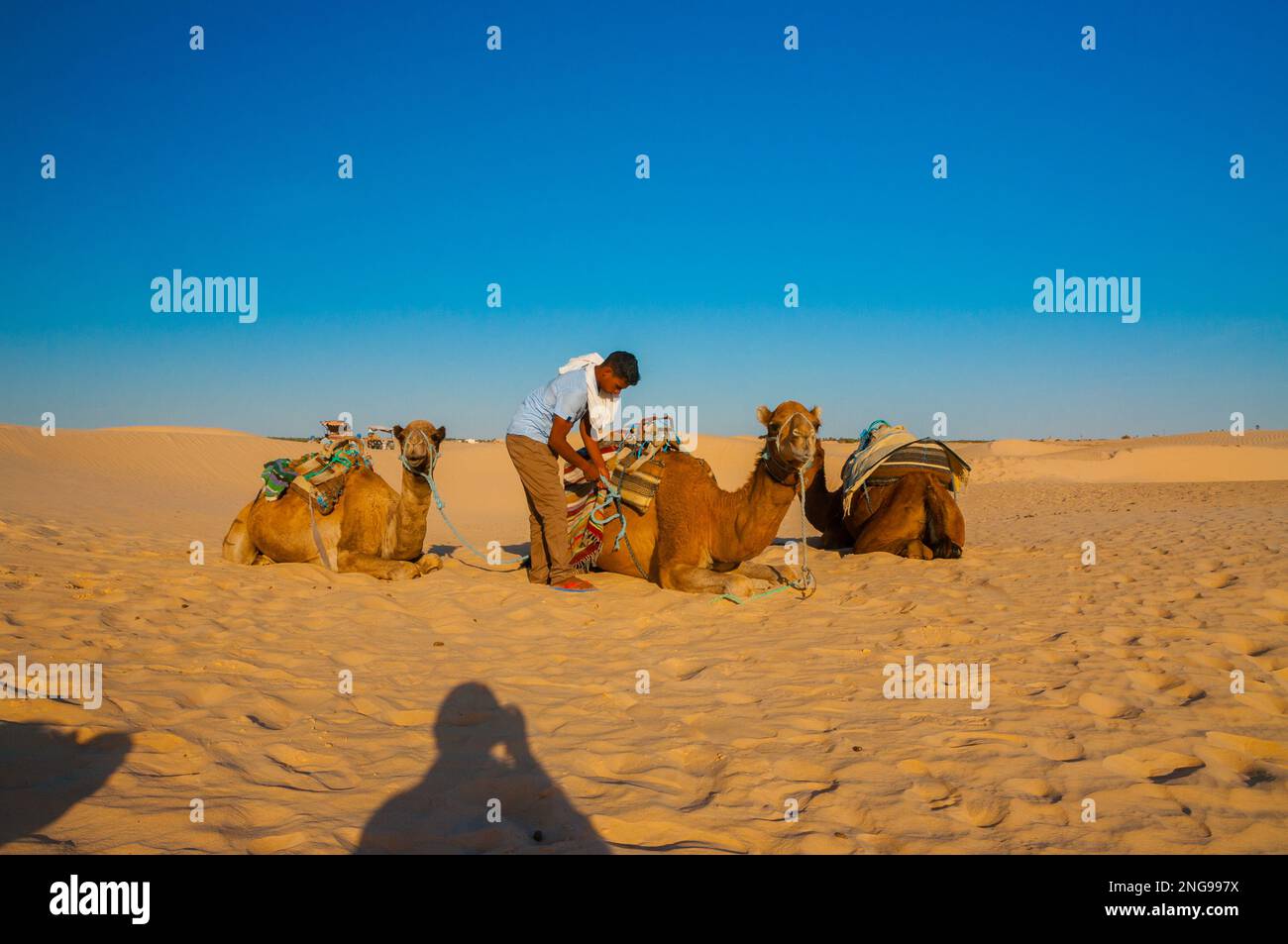 Arab man in traditional kandura is sitting in the Sahara desert with ...