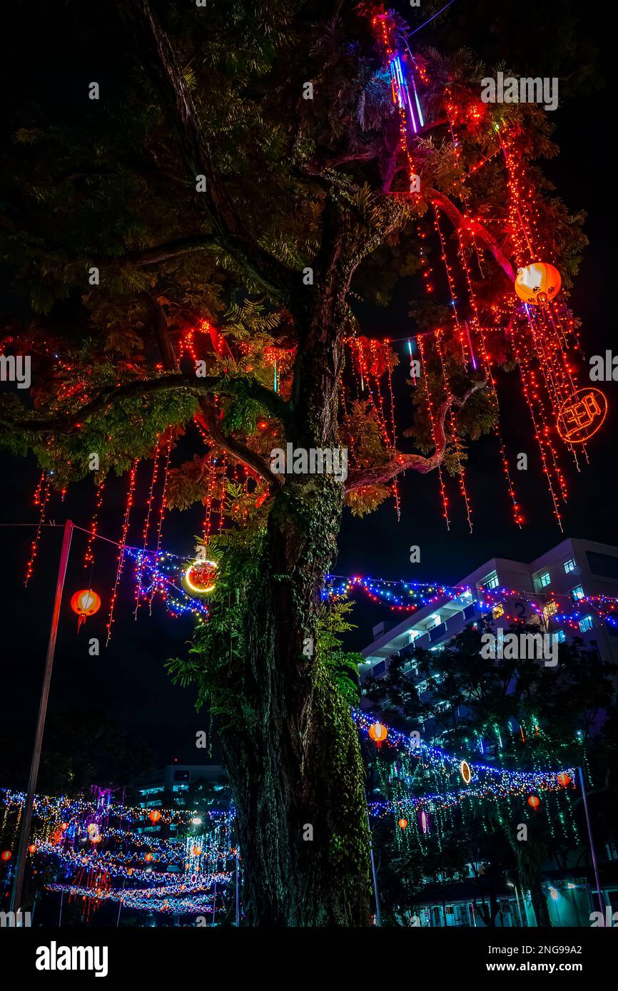 Lunar nee year hi-res stock photography and images - Alamy