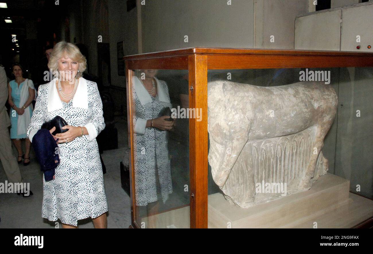 The Duchess of Cornwall views an artefact during her visit with the ...