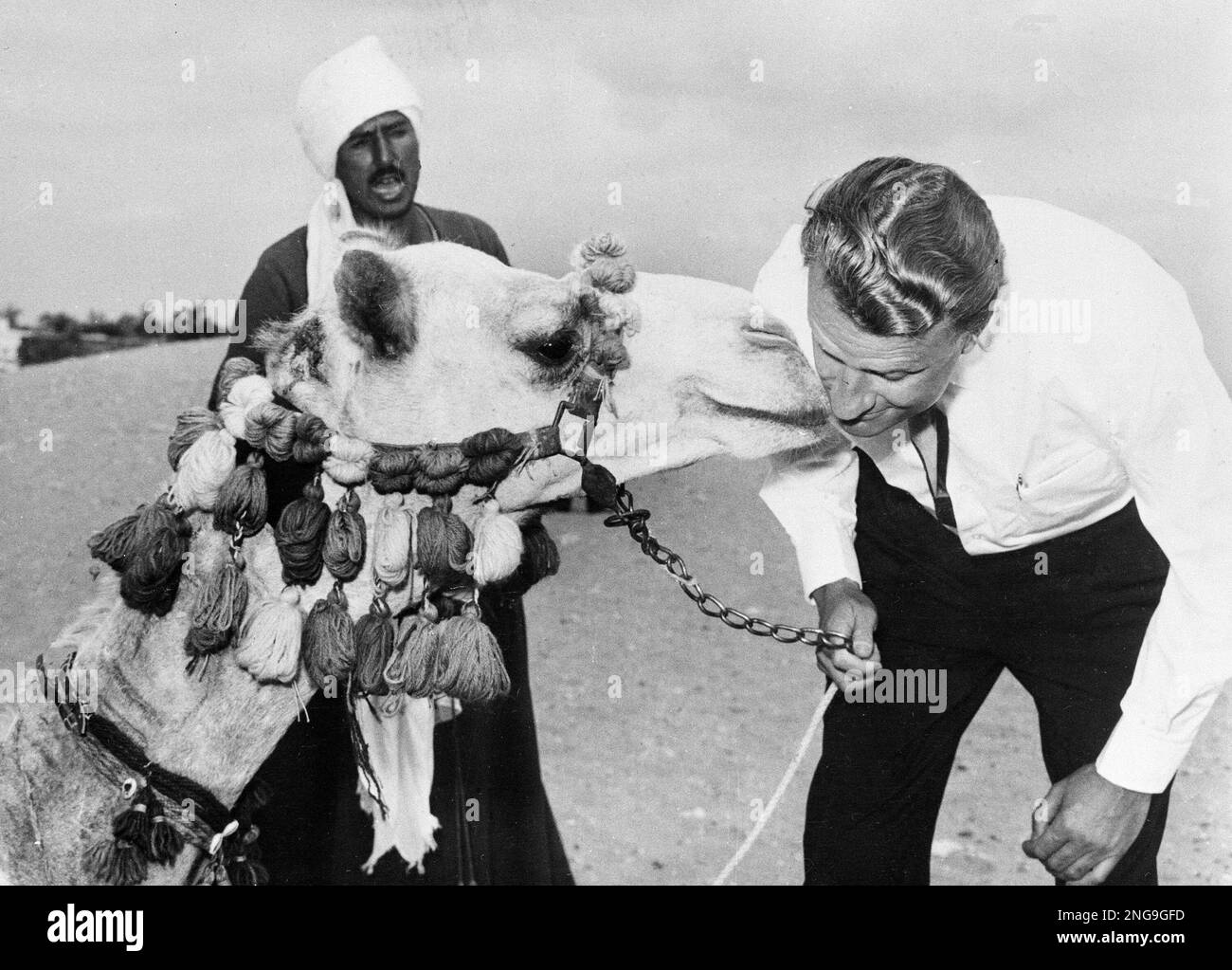 American evangelist Billy Graham leans over as a camel kisses him on ...