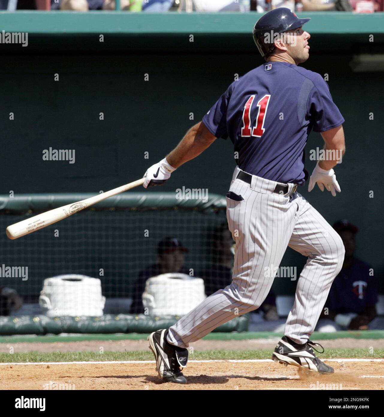 Minnesota Twins outfielder Josh Rabe bats against the Tampa Bay Devil ...