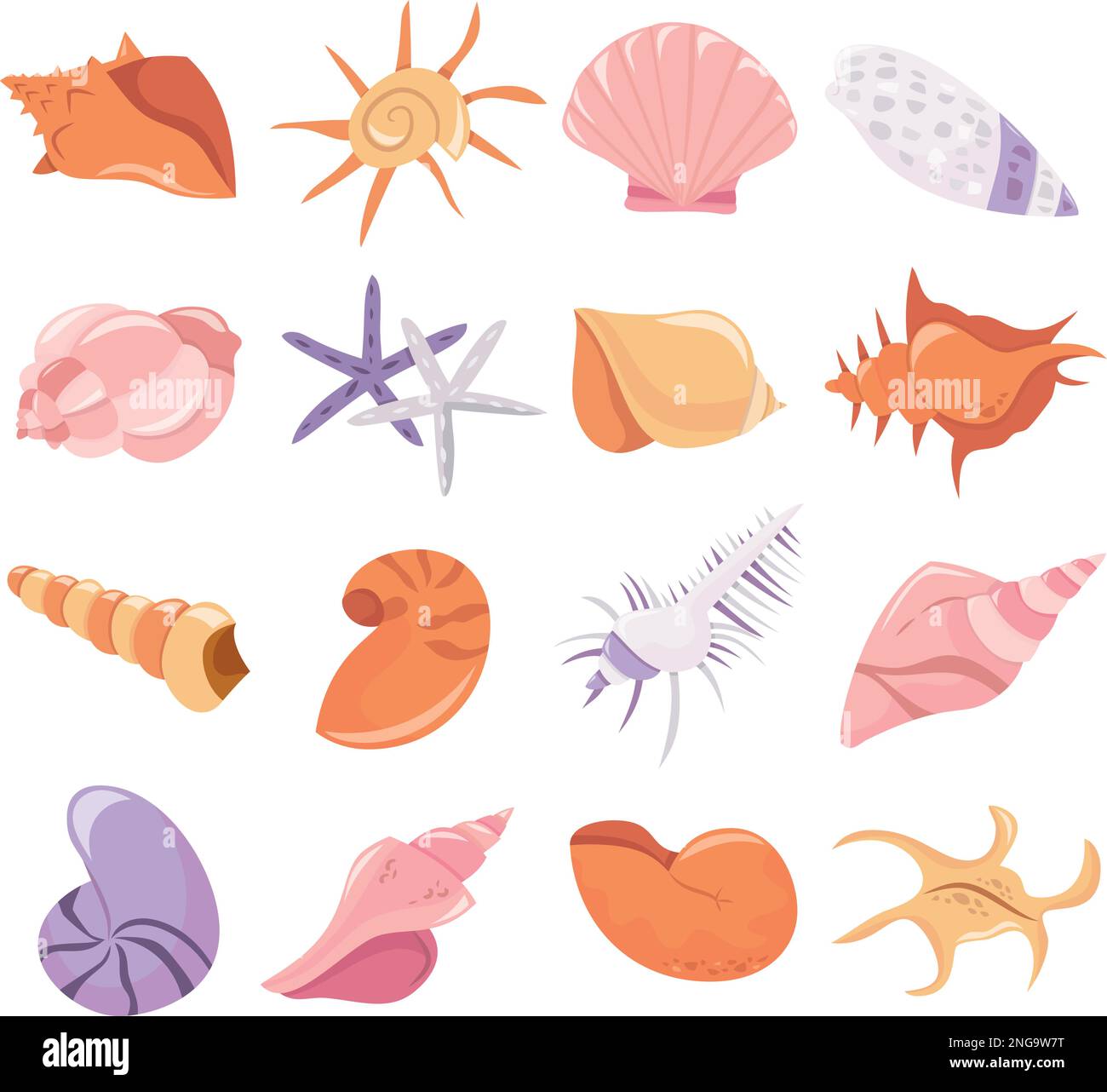 A cartoon vector illustration of various seashells set Stock Vector ...