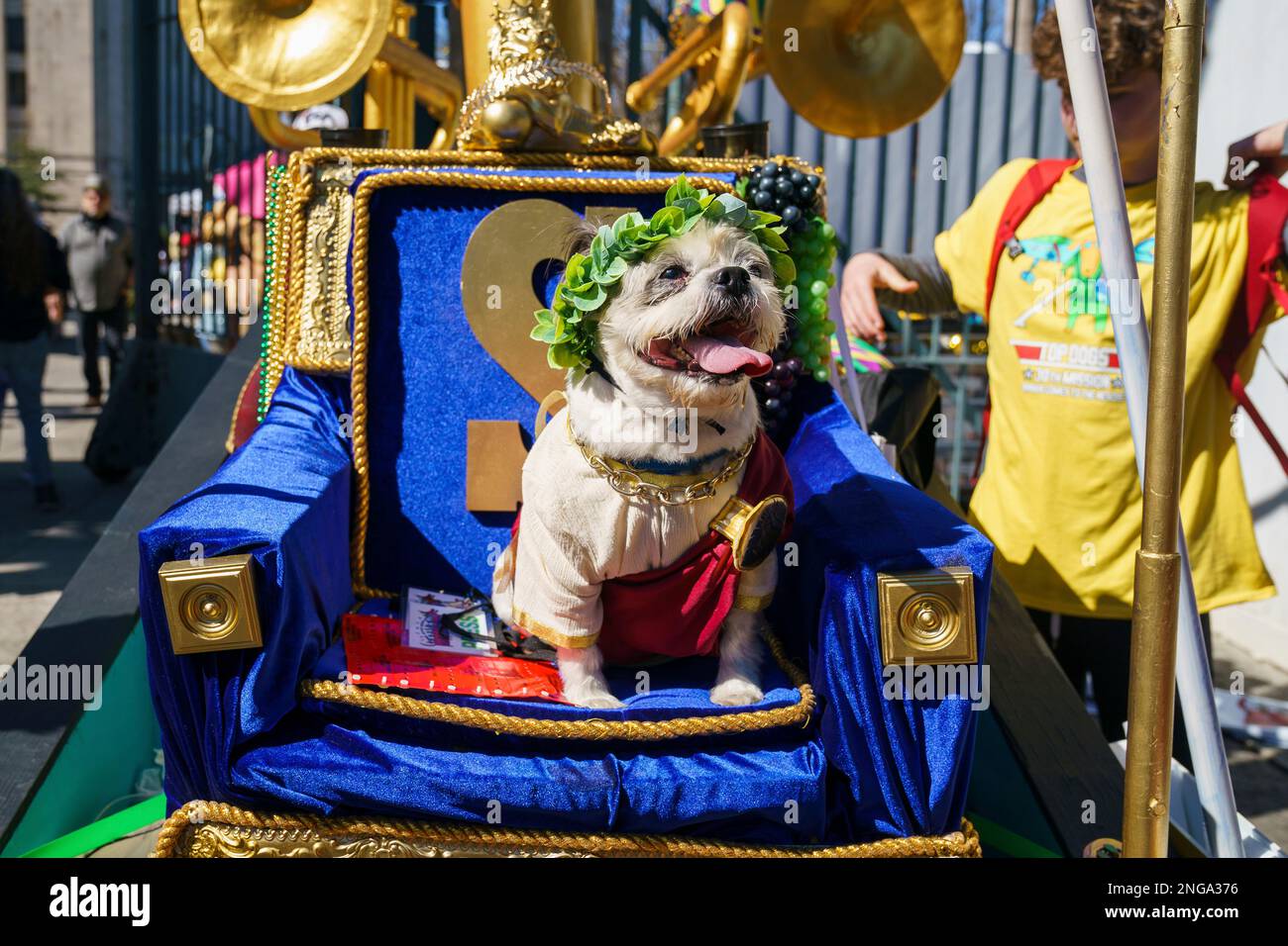 Dogs and their owners are seen at the Krewe Of Barkus parade on Sunday ...