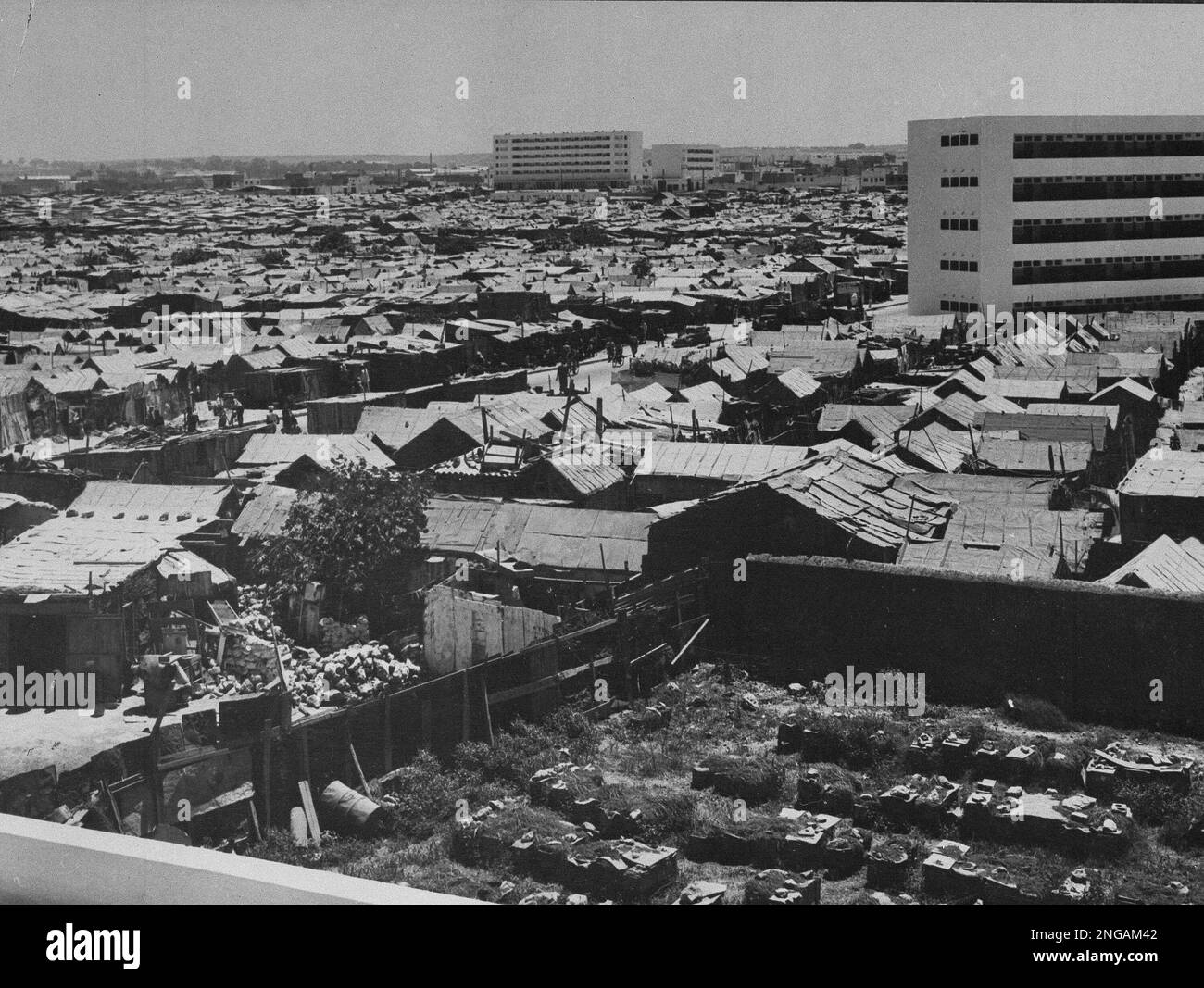 A "bidonville" or shanty town surrounds ultra modern buildings in ...