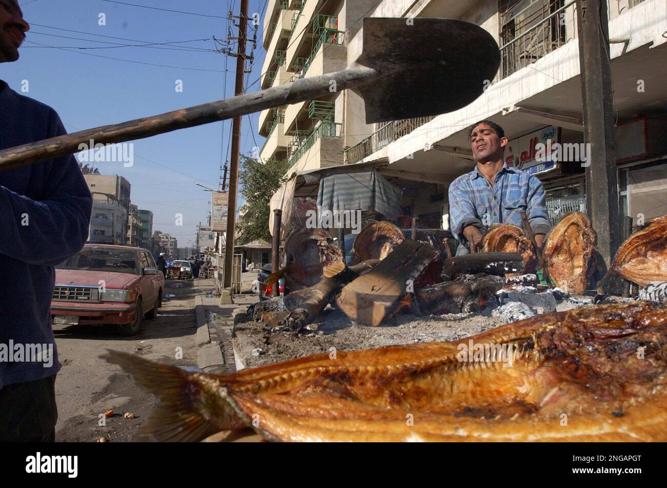 Local Iraqi street food vendors grill the masgouf fish from the Tigris ...