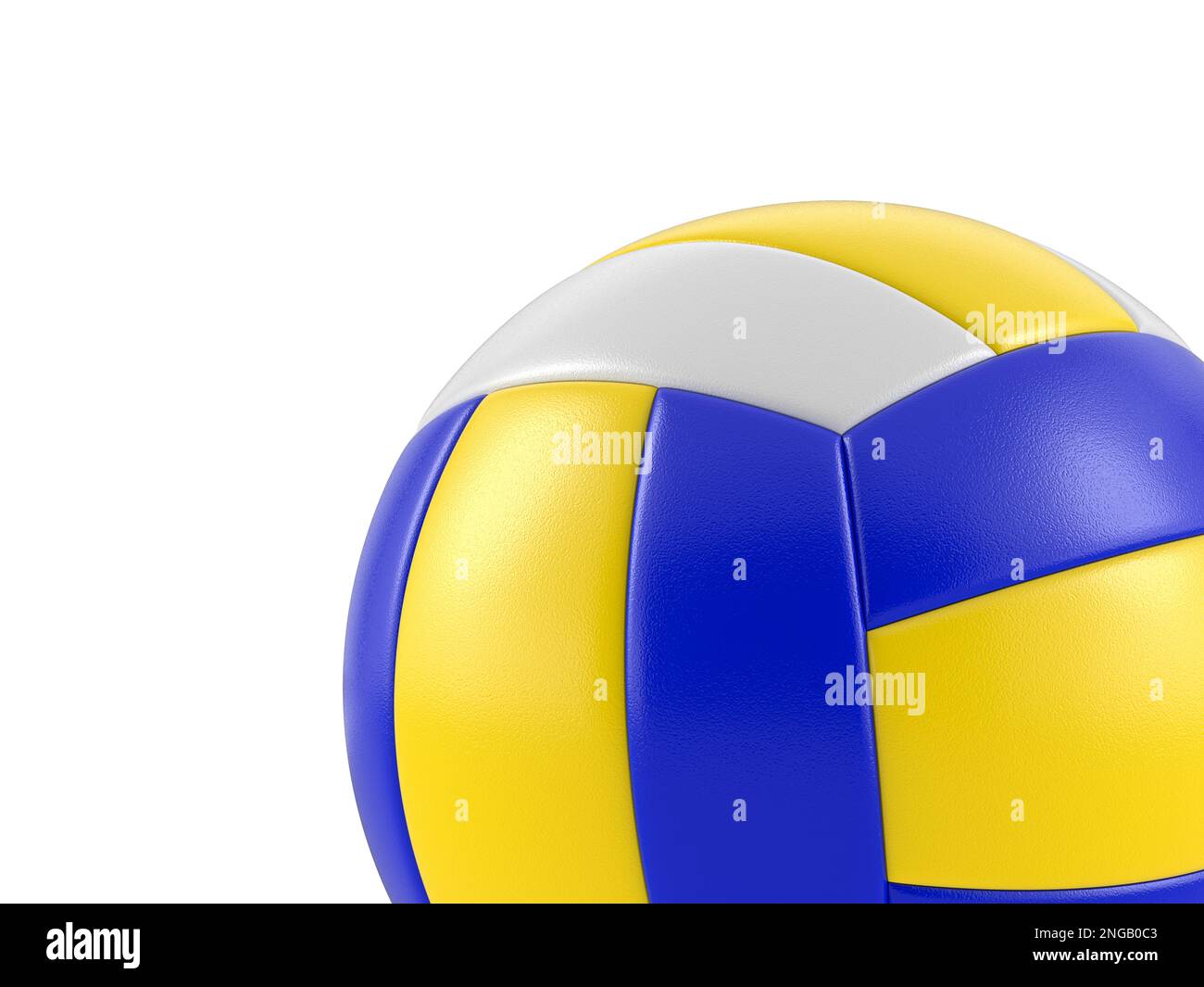White Volleyball Ball