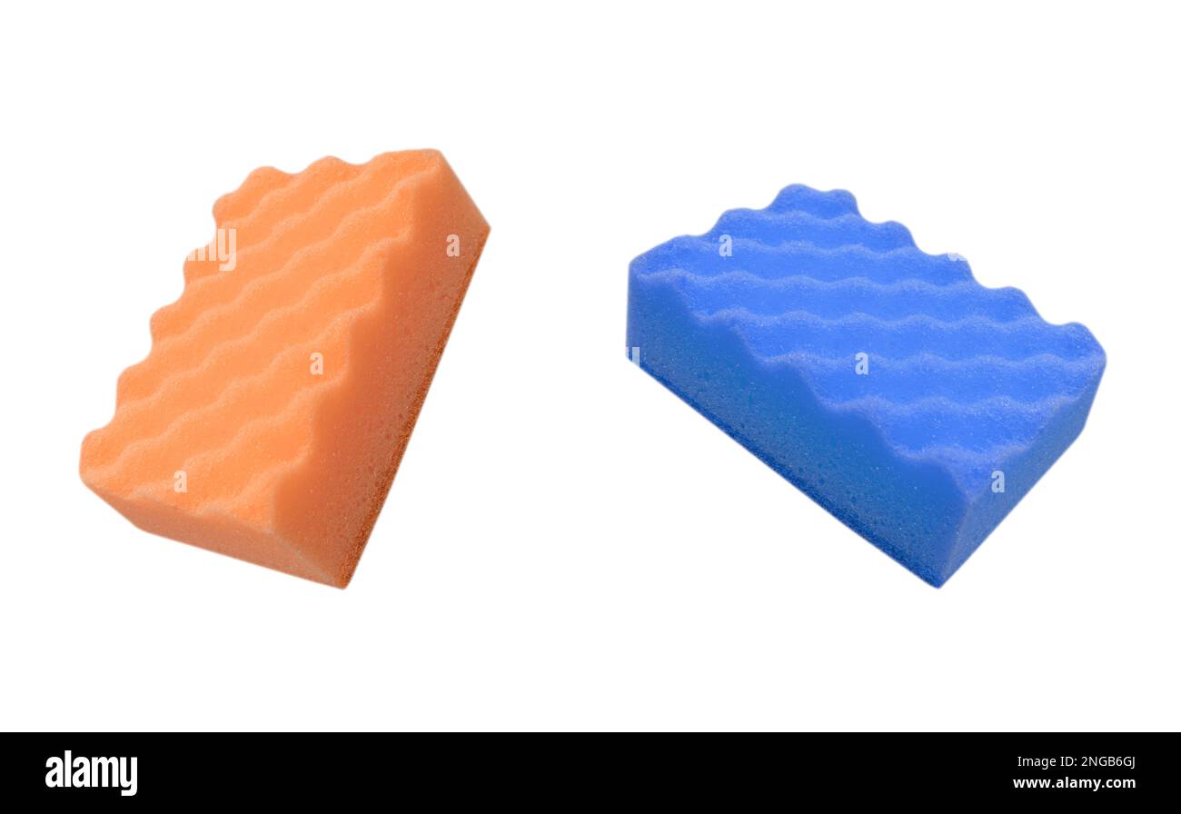 Macro shot of a surface two sponge isolated onwhite background. Close ...