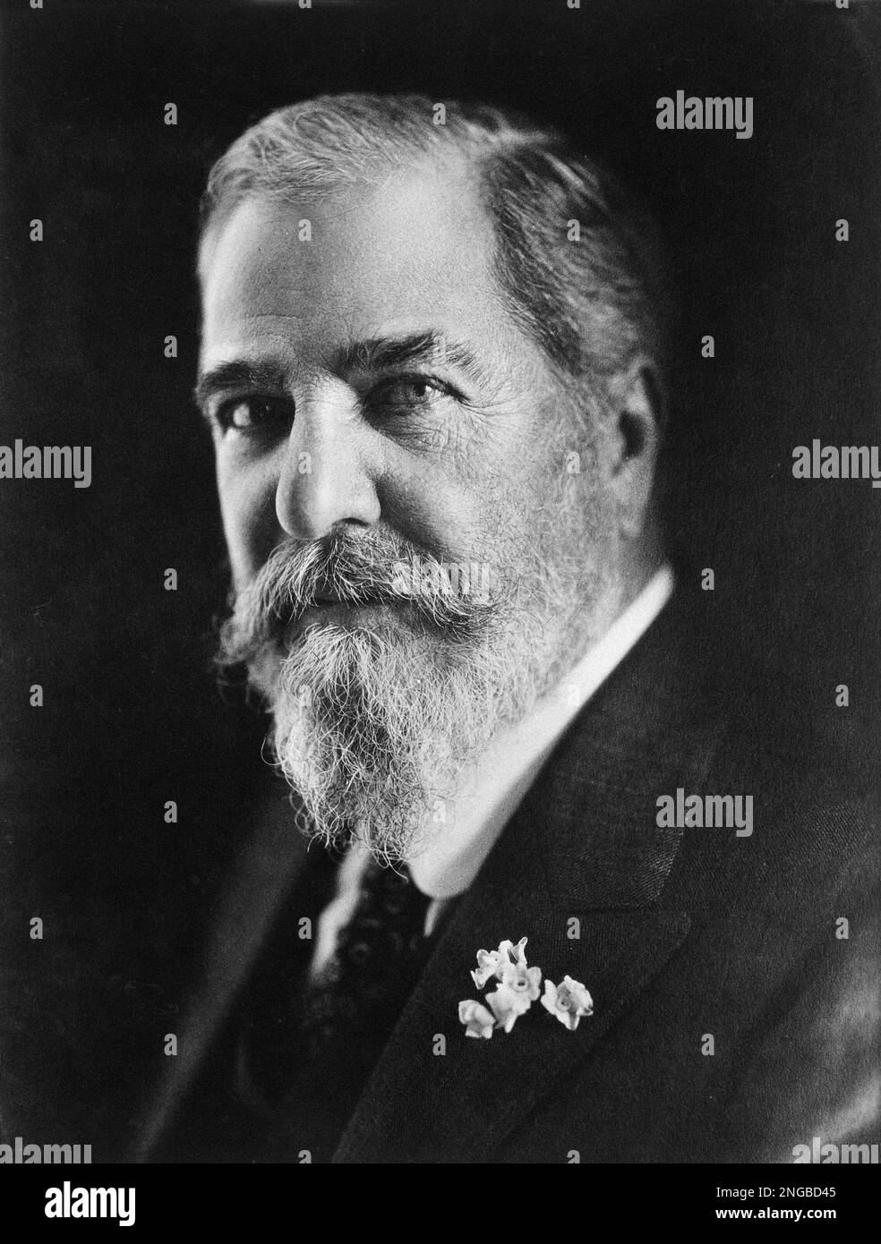 Louis Comfort Tiffany, vice president and trustee of Tiffany & Co., in ...