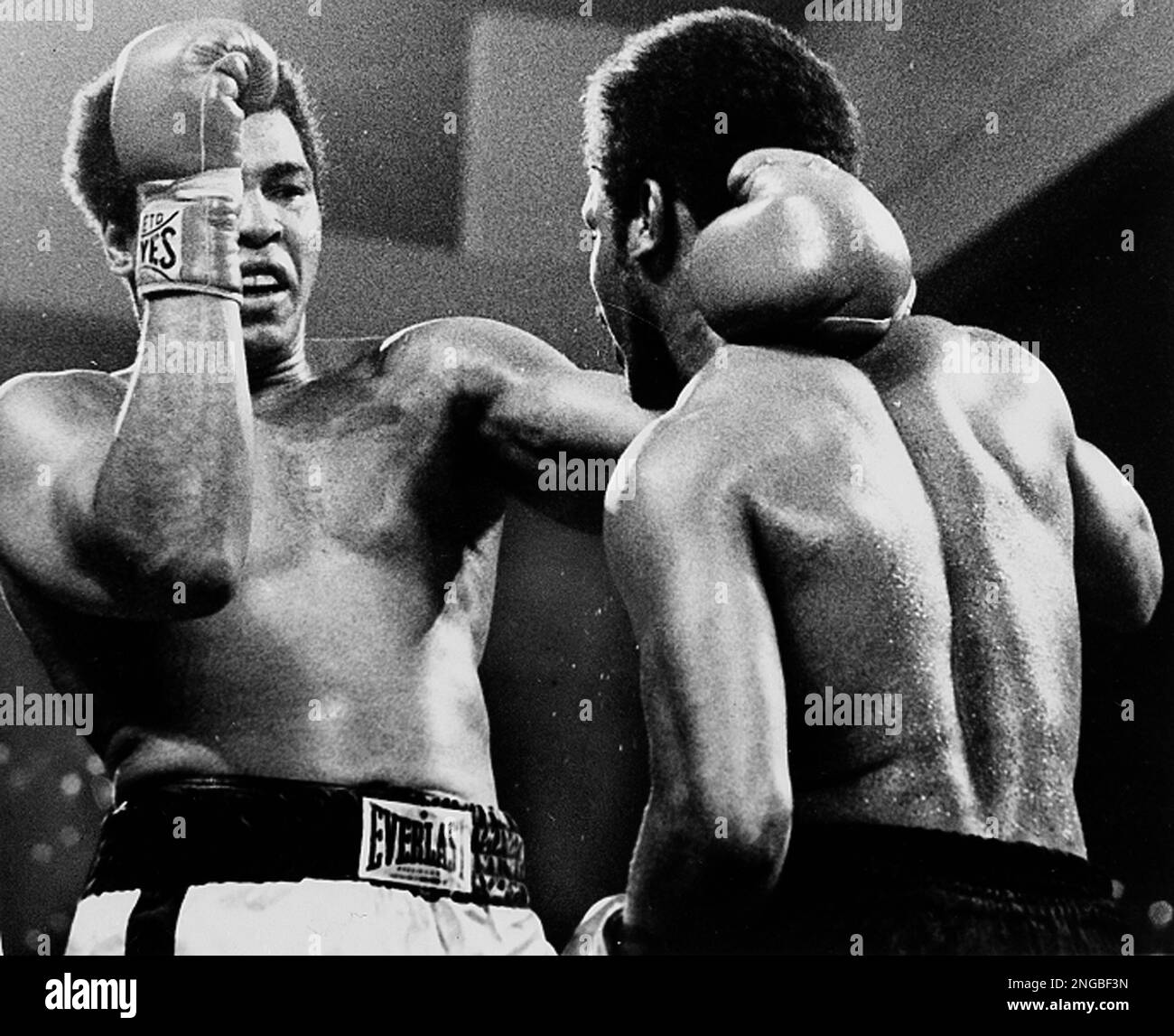 Muhammad Ali hooks his left about the neck of Leon Spinks Wednesday ...