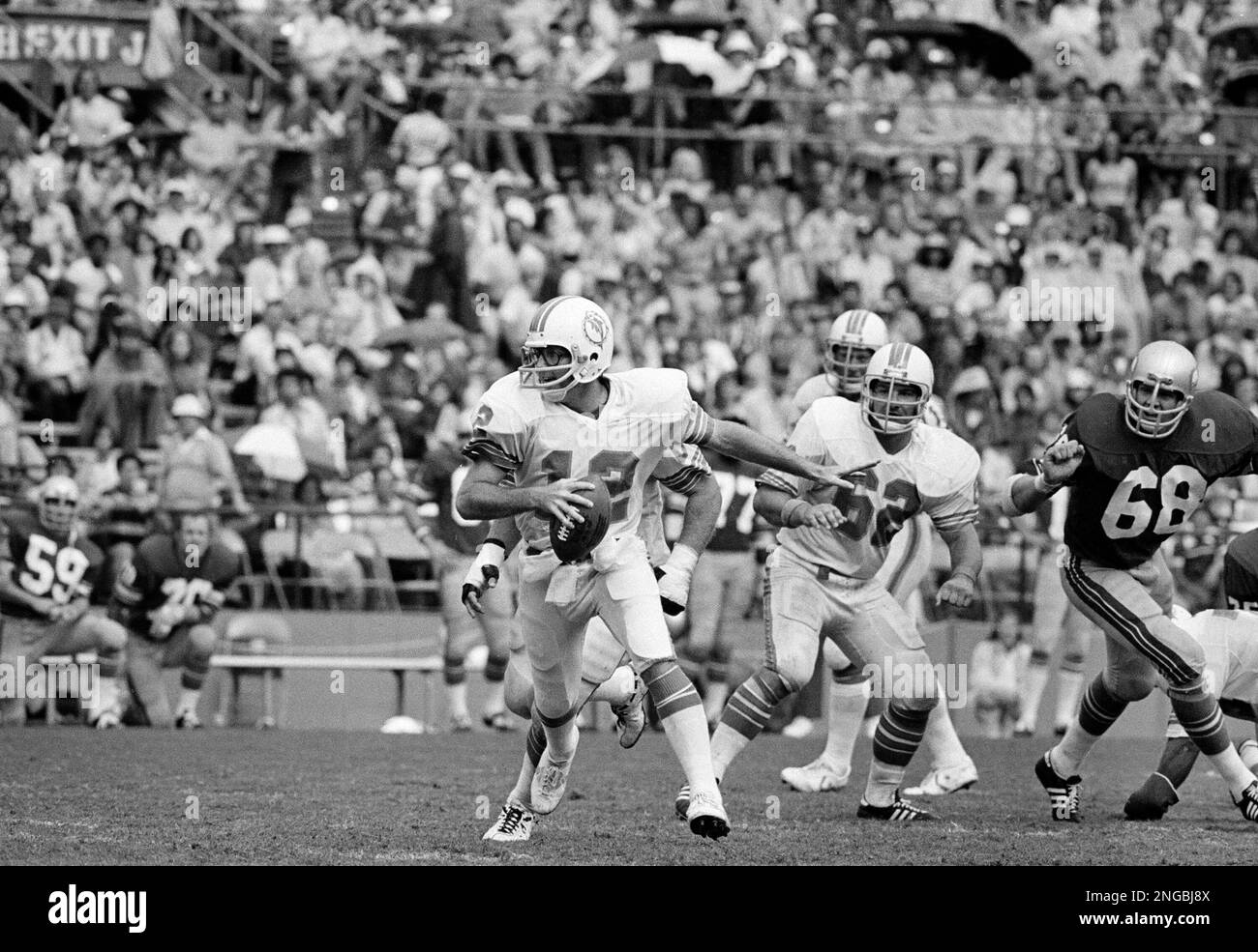 Miami Dolphin quarterback Bob Griese scrambles during Sunday's game ...