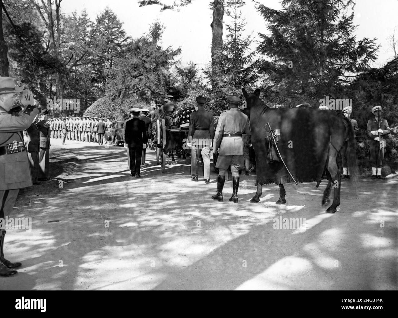 A riderless horse, symbolic of the fallen warrior, draped in black and ...