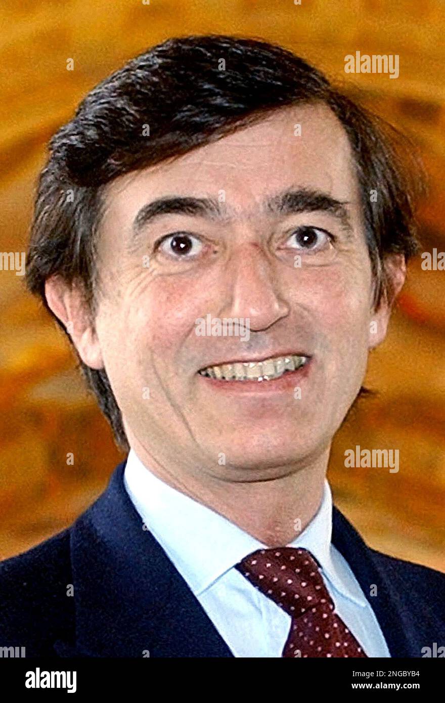 ** FILE ** Toulouse mayor Philippe Douste-Blazy, seen in this Feb. 16 ...