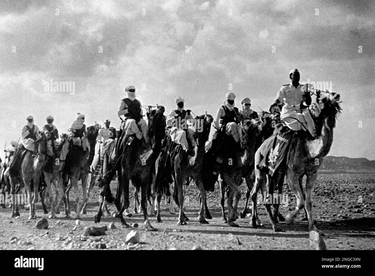 Troops of the Italian Camel Corps train in a north African desert, as ...