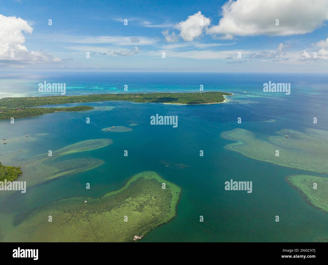 Aerial view of rainforest and jungle on the coast of the island ...