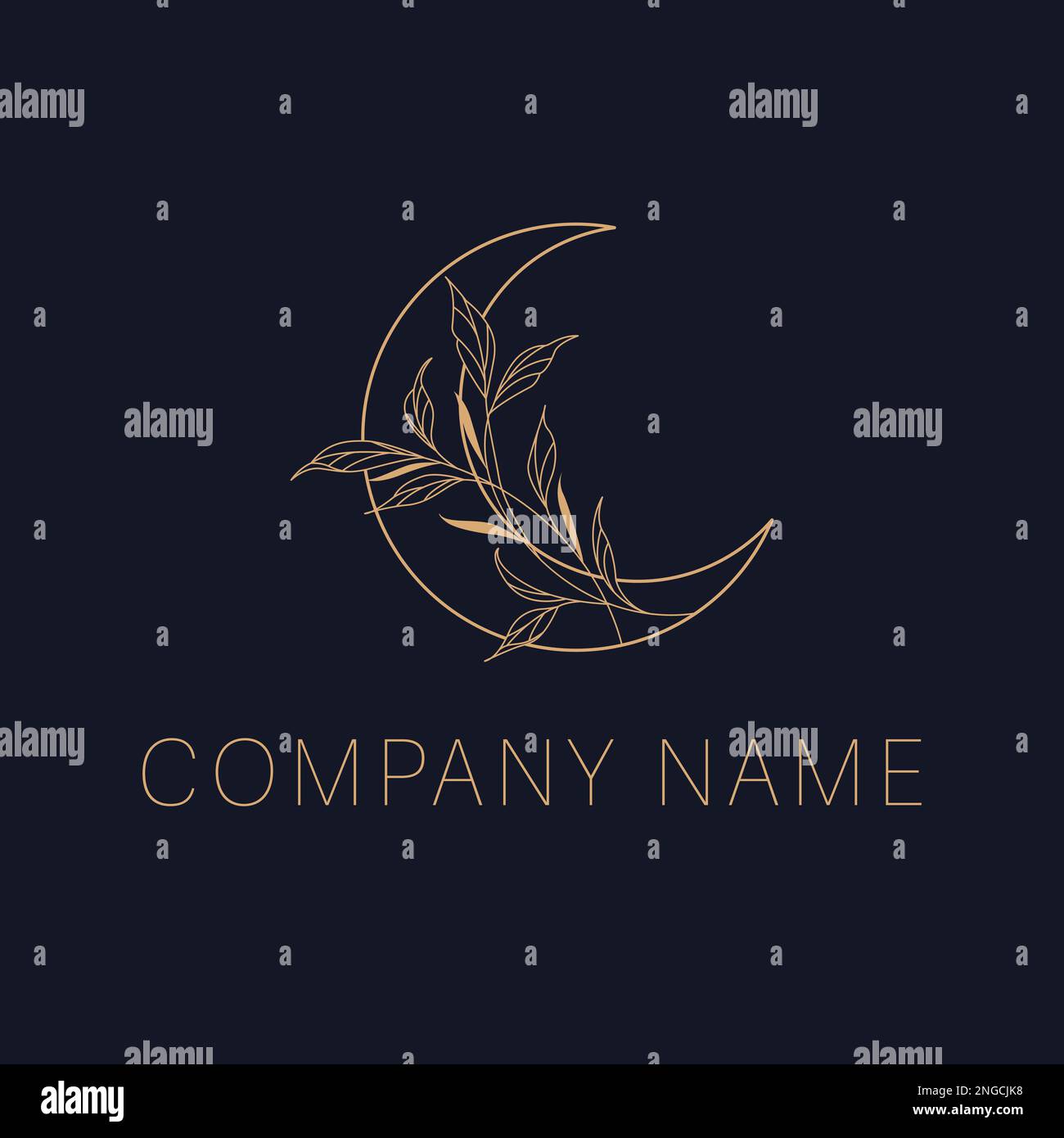 Crescent hotel Stock Vector Images - Alamy