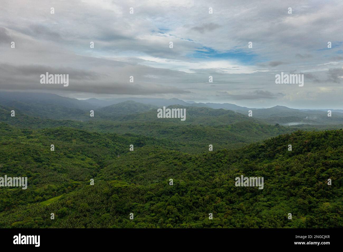 Aerial view of Mountain peaks covered with forest from above ...