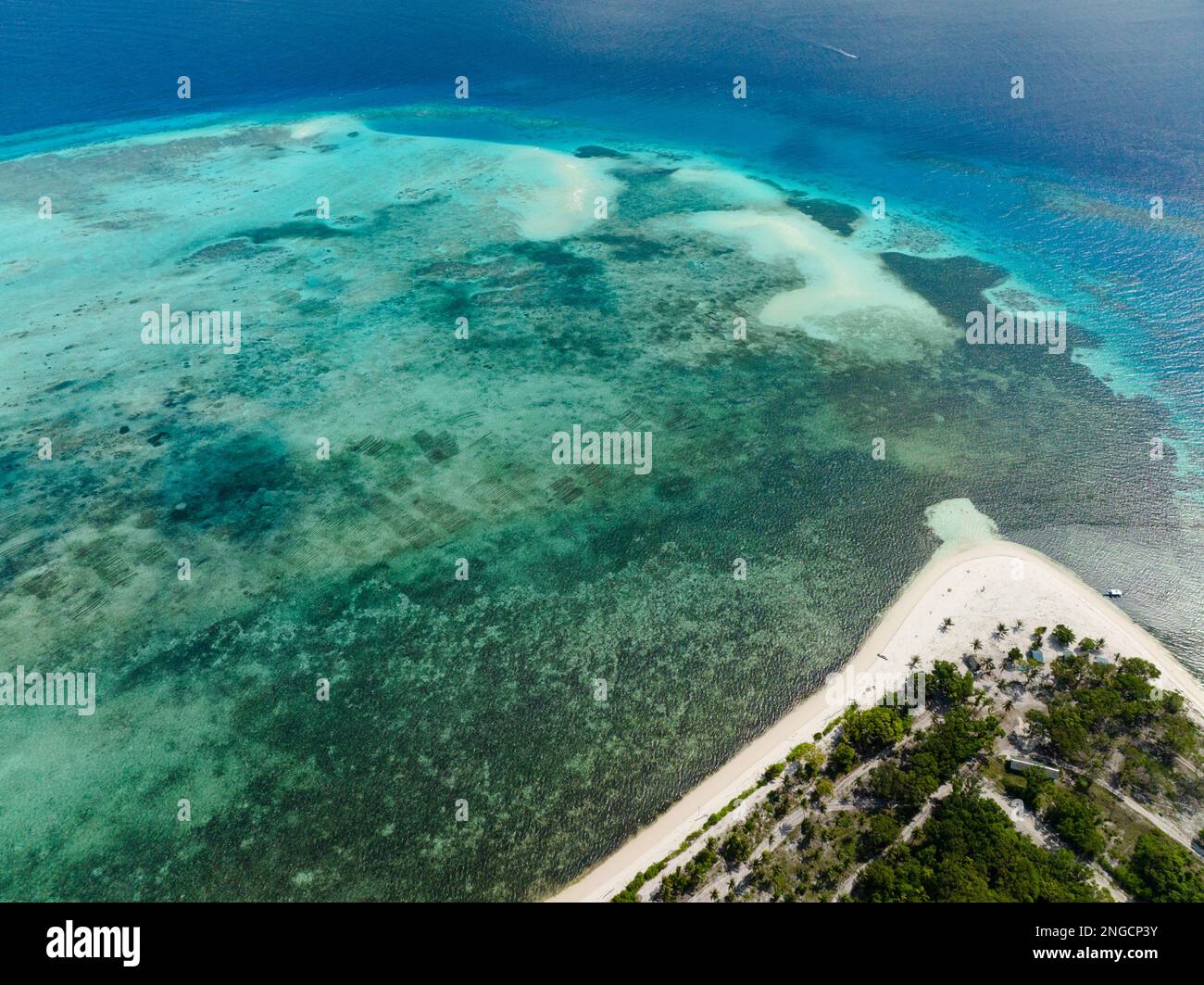 Top view of island with beautiful beach, palm trees by turquoise water ...