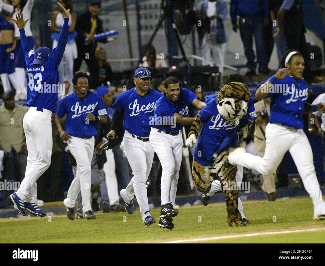 Tigres del Licey's players celebrate after win to Aguilas del Cibao the ...