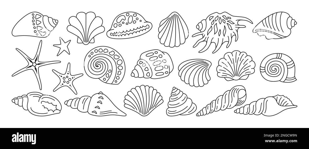 Sea shell, sink linear doodle set. Ocean exotic underwater seashell ...