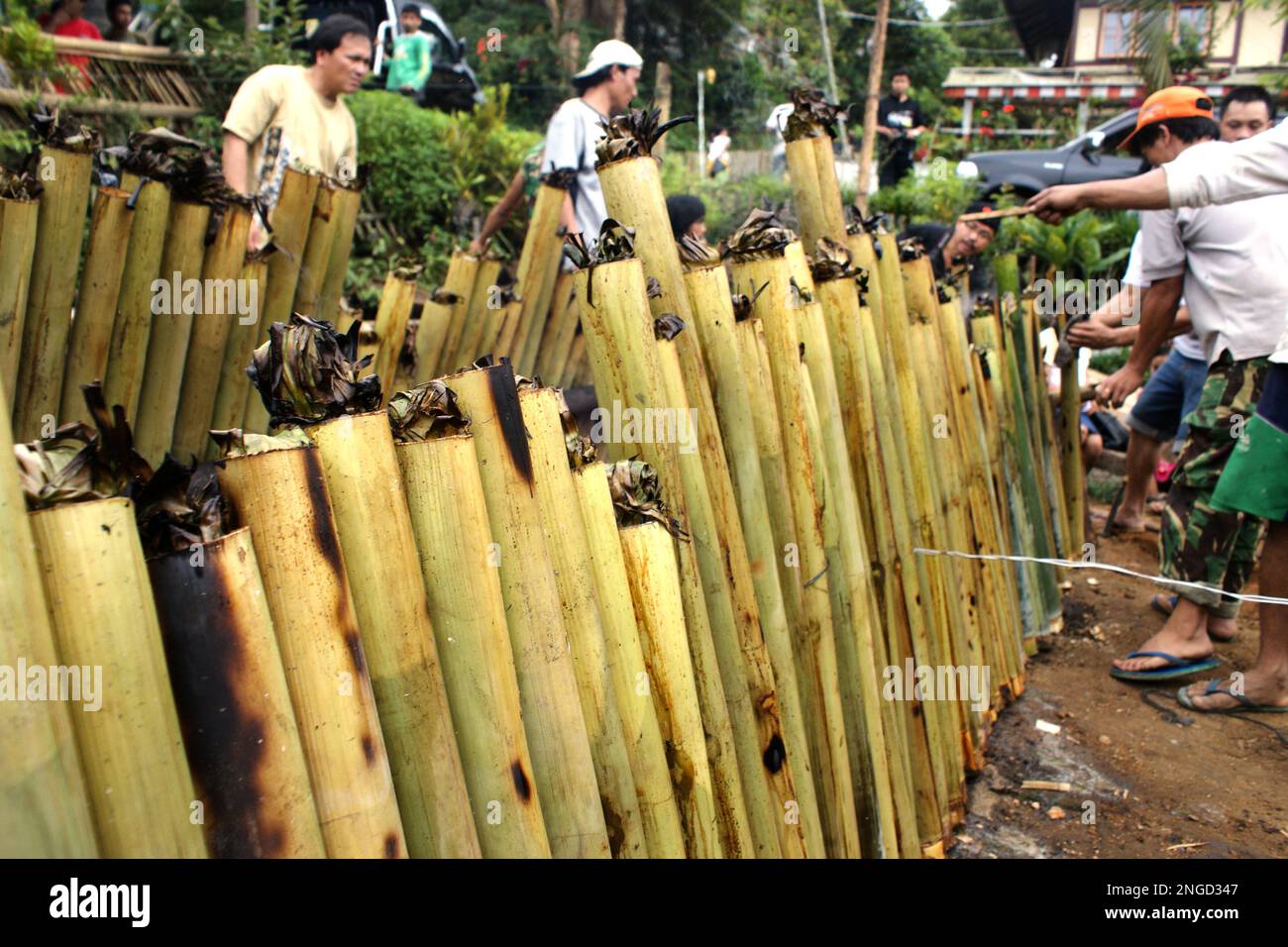 People are cooking rice that—alongside spices—placed inside bamboo, a ...