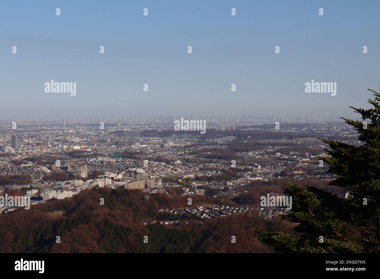 Tokyo city viewed from Mount Takao in Japan Stock Photo - Alamy