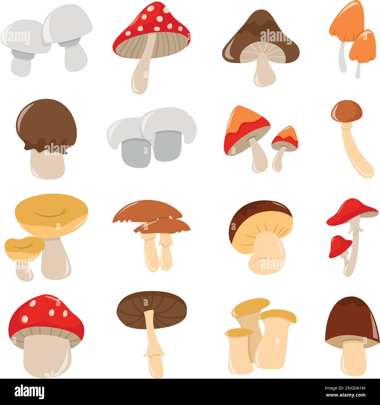 A cartoon vector illustration of various mushrooms set Stock Vector ...