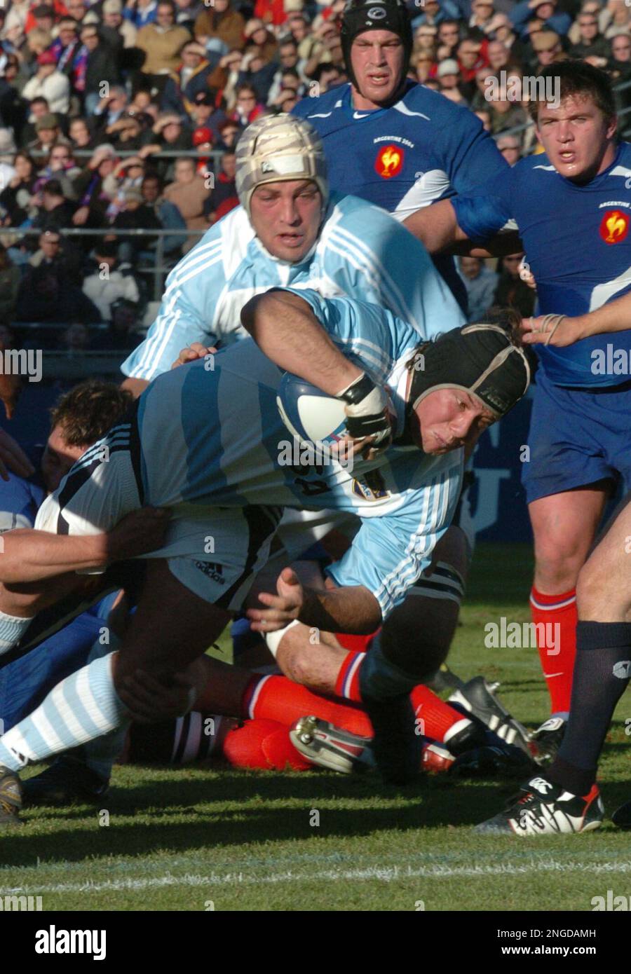Argentinian rugby player Rimas Alvarez-Kairelis looks on as his ...