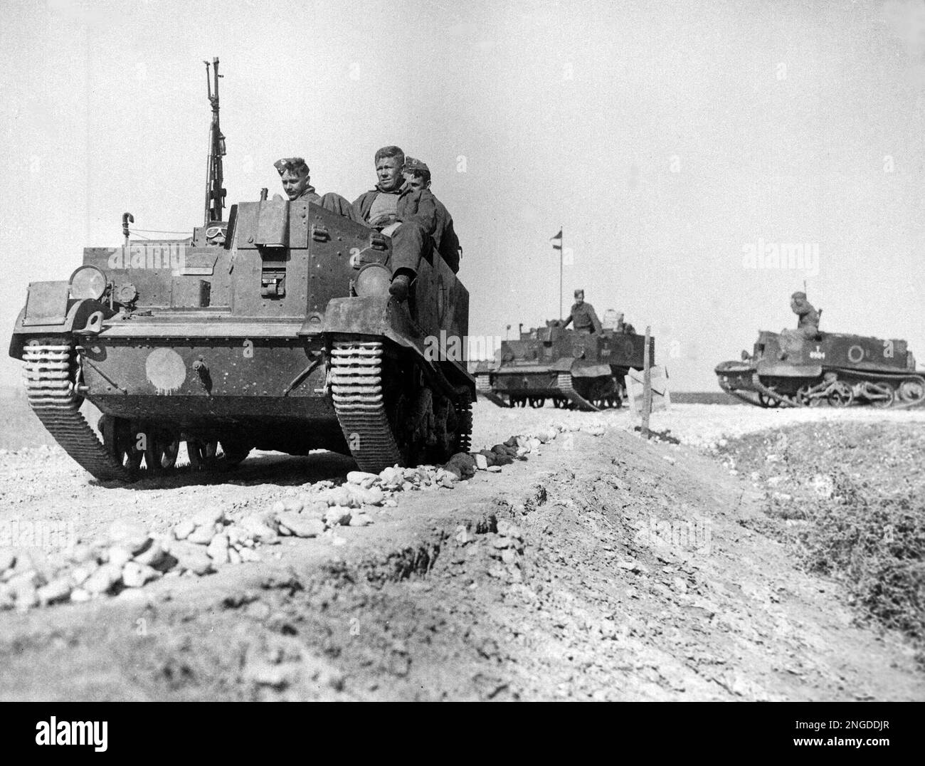 British Bren gun carriers and their crews travel in convoy on a road in ...