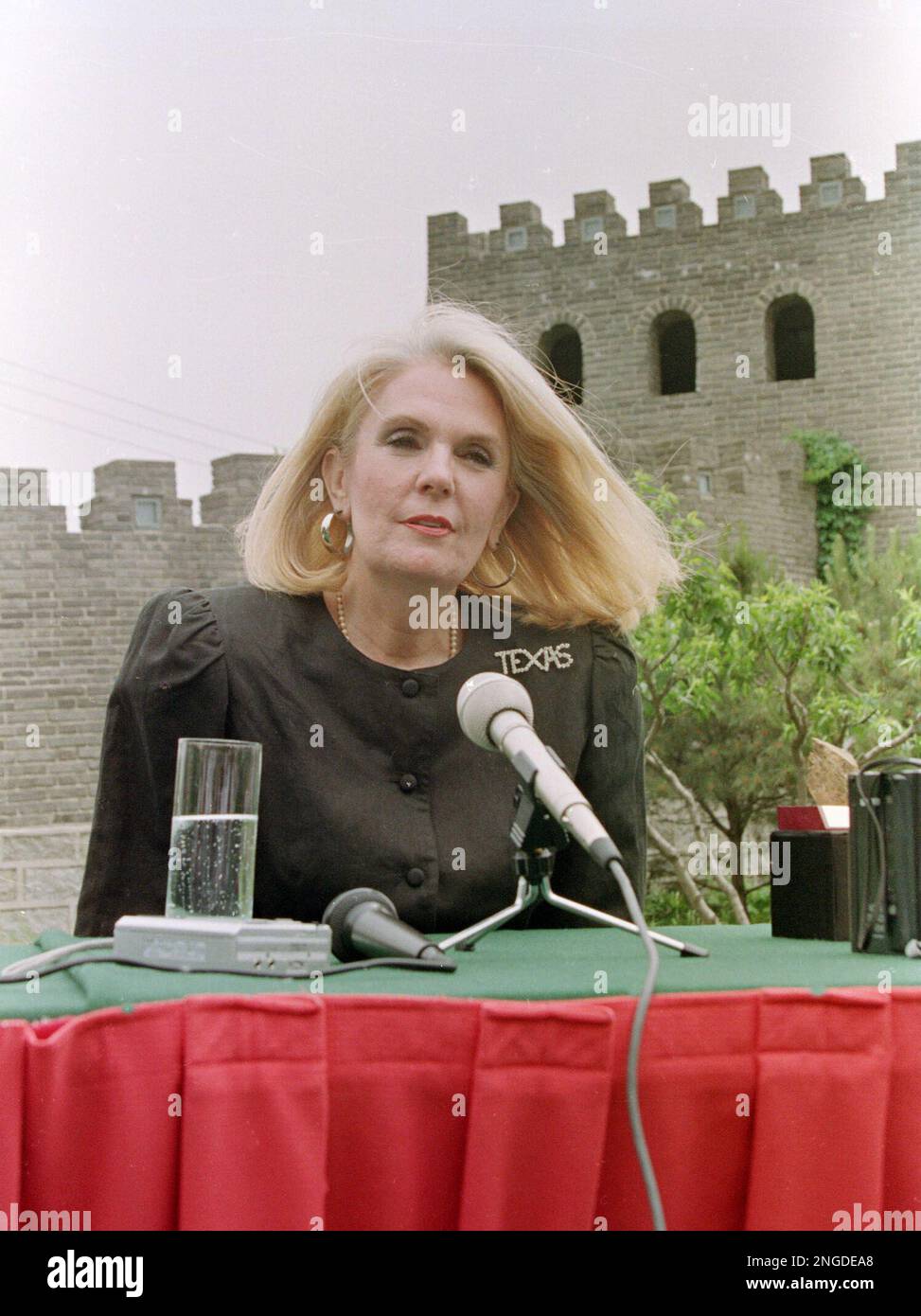 Former beauty queen Sally Perdue of Houston, Texas, announces plan Wed ...