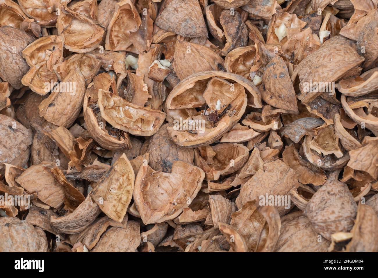 The Natural Wonder of Walnut Shells: A Closer Look Stock Photo - Alamy