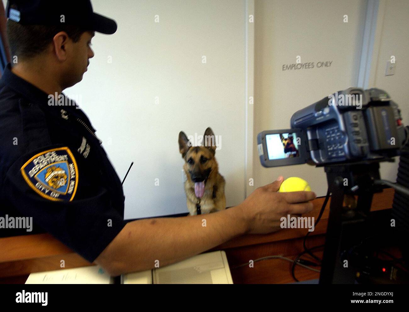 New York City police officer Michael Cardona uses a tennis ball to ...