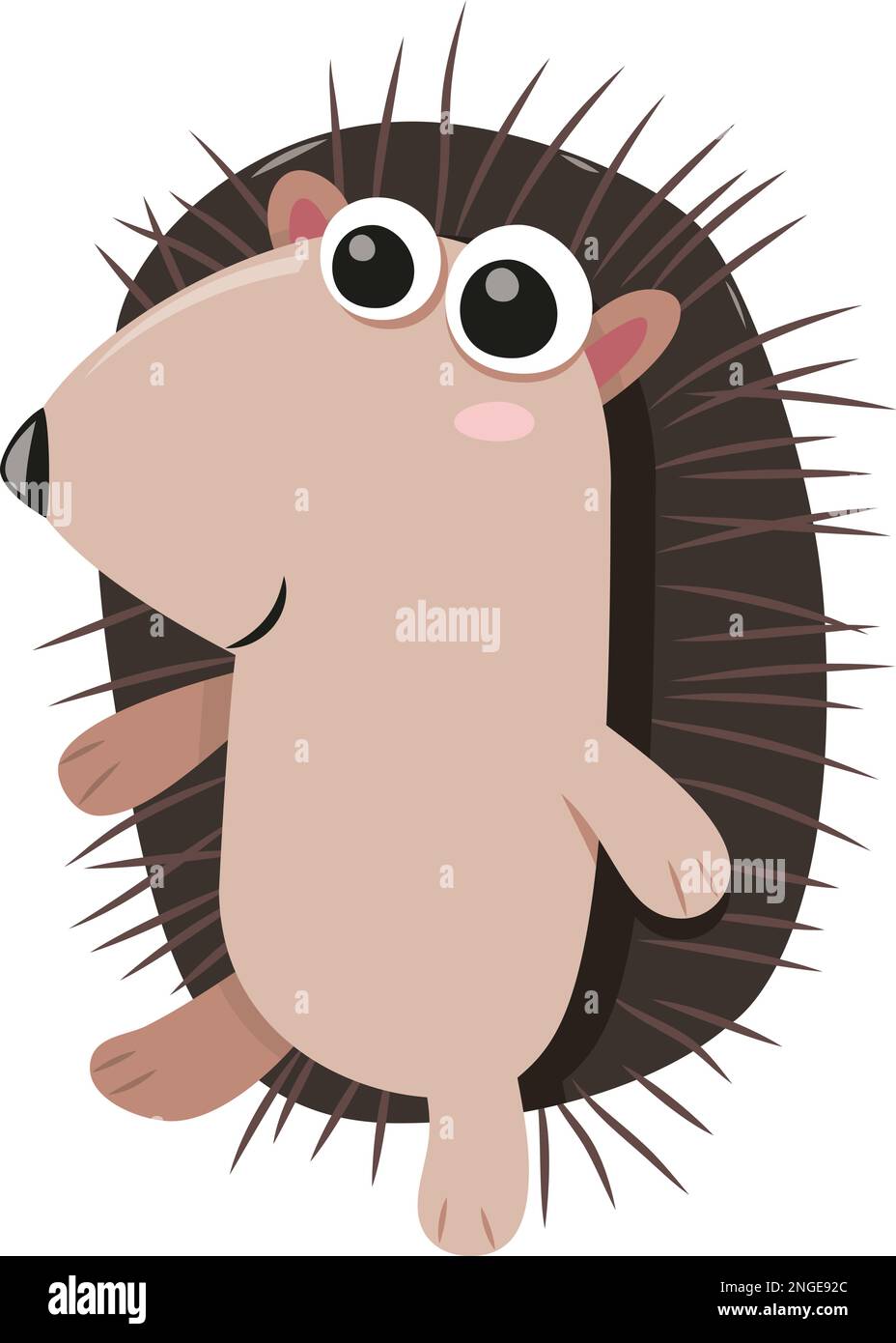 A cartoon vector illustration of a cute hedgehog Stock Vector Image ...