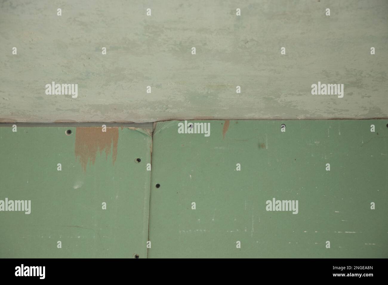 green drywall wall in the room during renovation, apartment renovation ...